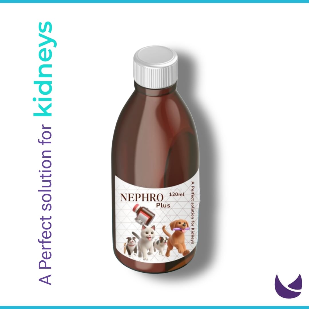 Nephro Plus | Supplement for Kidneys – Chubby Meows