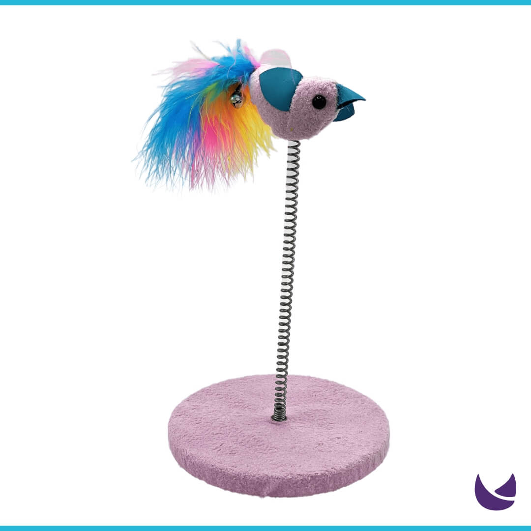 Feather Bird Toy with Spring and Scratching Pad – Chubby Meows