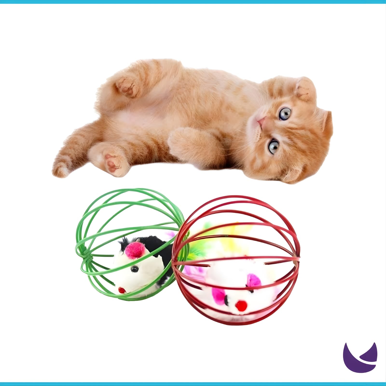 Toys – Chubby Meows